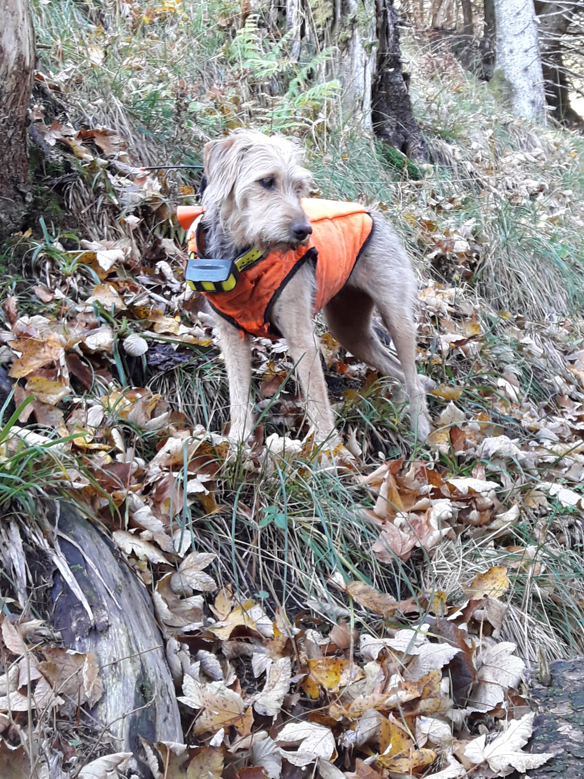 ANNE MUNZINGER, CHASSERESSE ENGAGÉE ET PASSIONNÉE | Chasse et nature